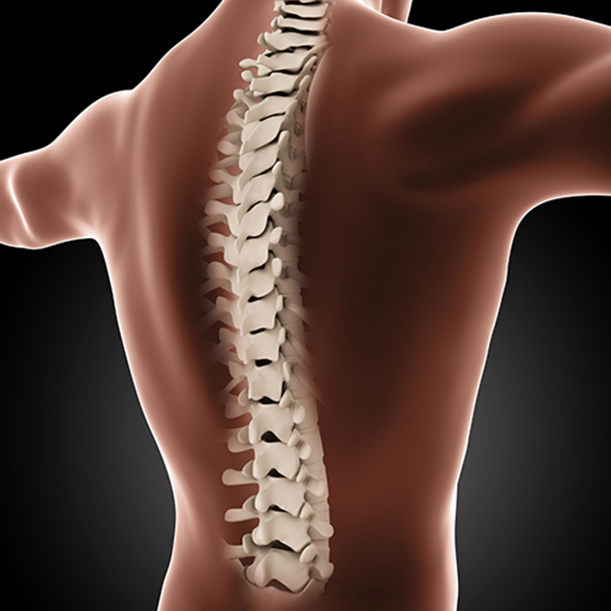 Advanced Spinal Assessment - New Hampshire Fire Academy & EMS